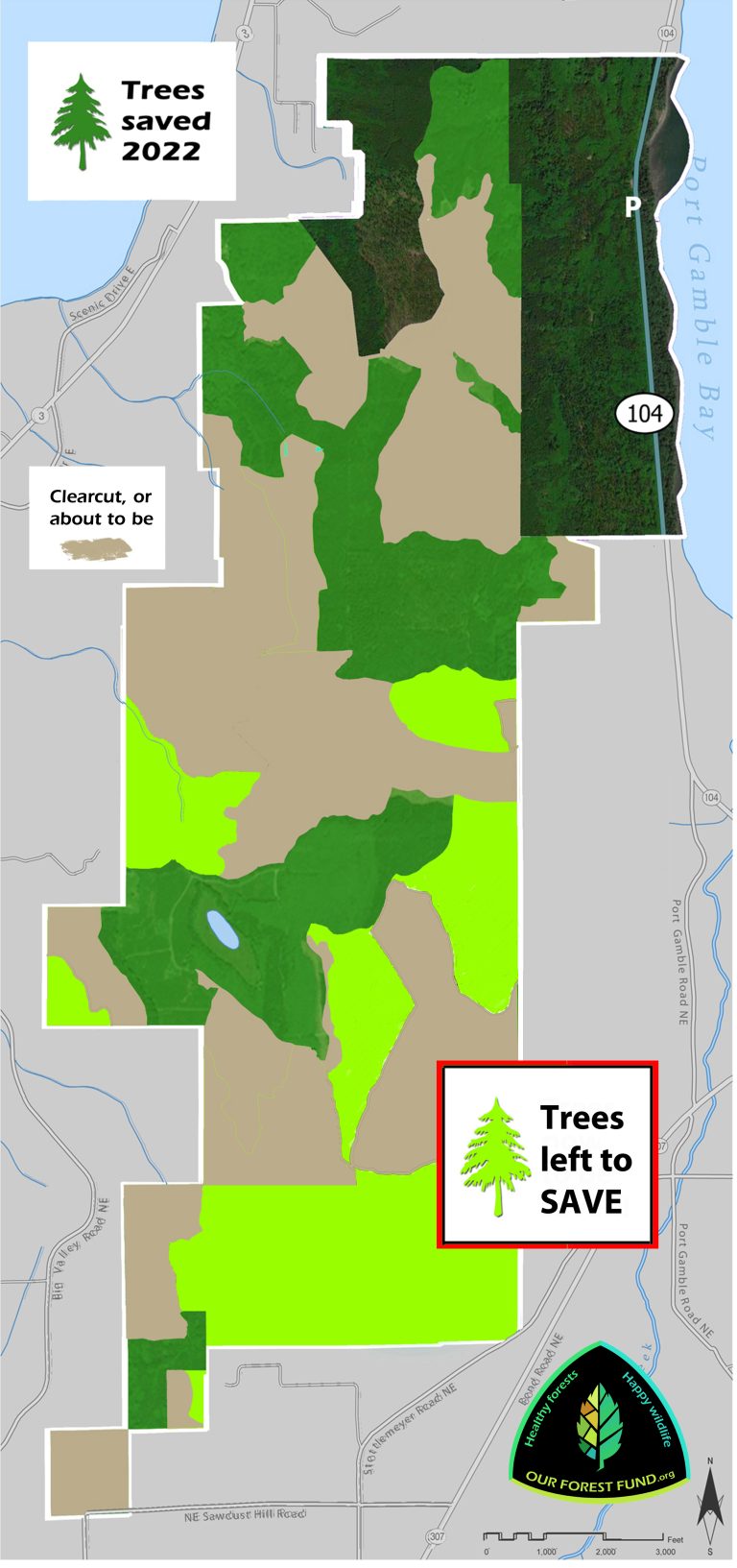 Our Current Campaign – Our Forest Fund